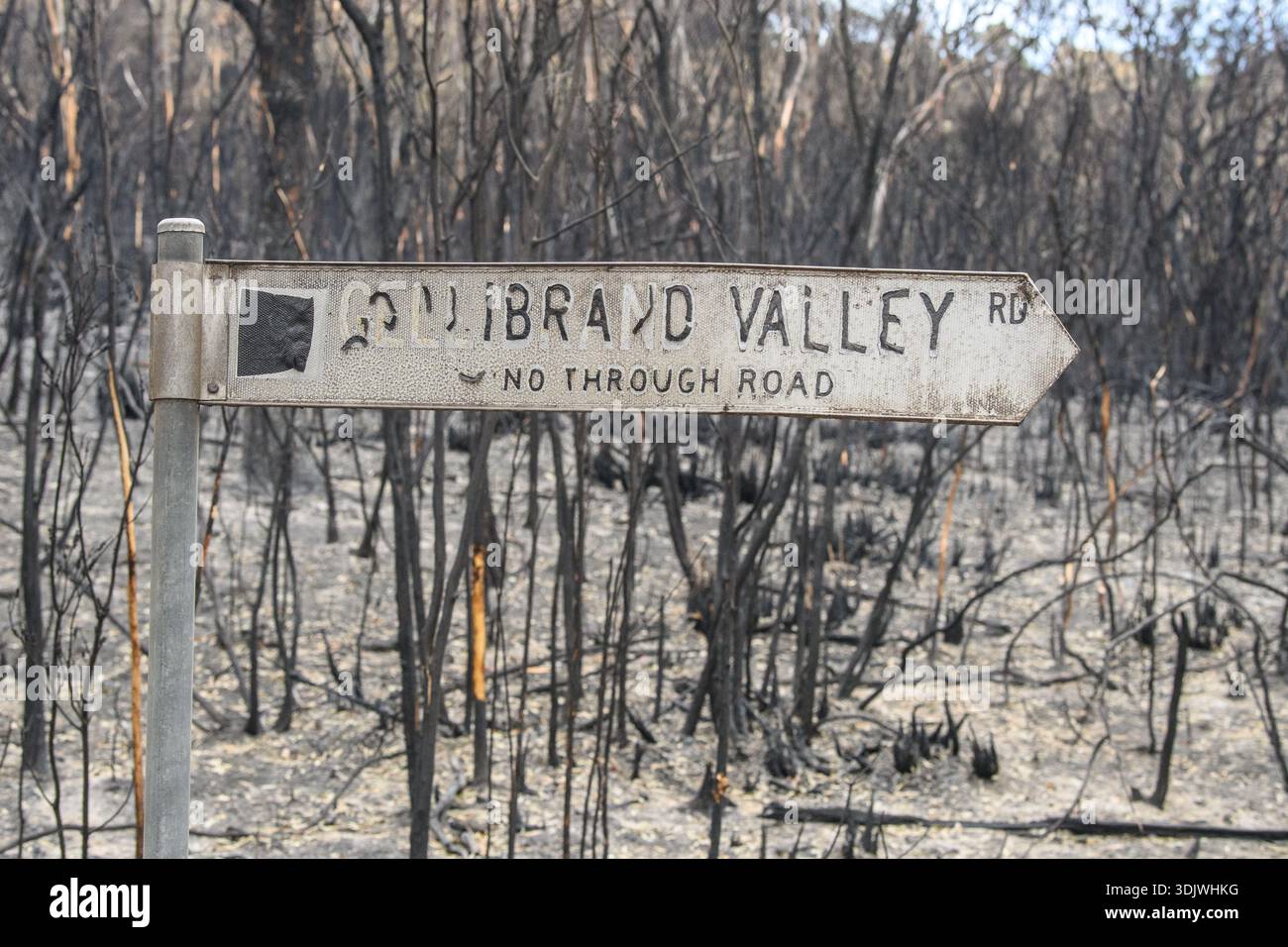 A burnt road sign to Gellibrand Valley Rd, Wednesday, January 28, 2026 ...