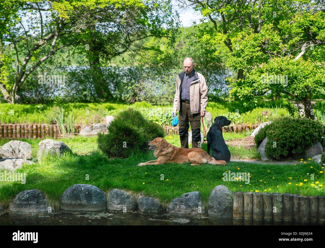 Owner elederly man hi-res stock photography and images - Alamy