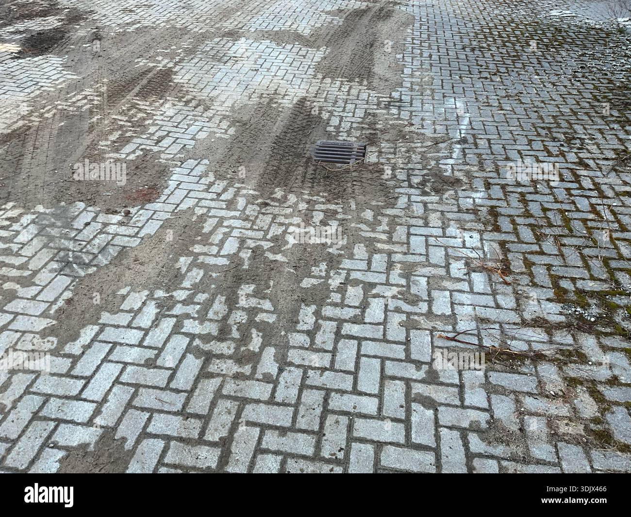 Dirty paving stones with visible tire tracks and mud marks on an ...