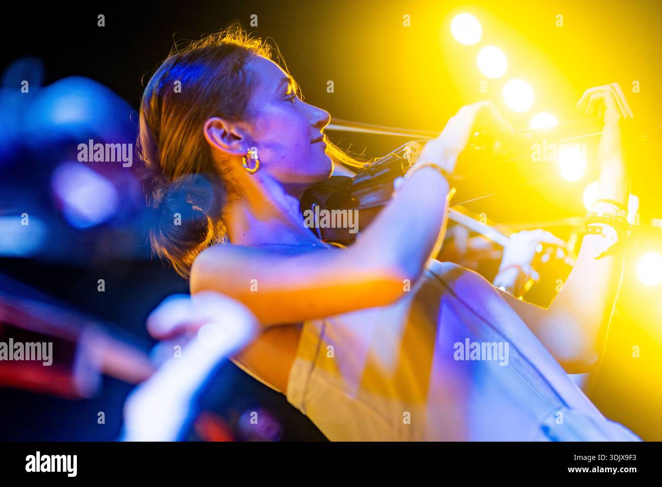 Ava montesi scottish fish hi-res stock photography and images - Alamy