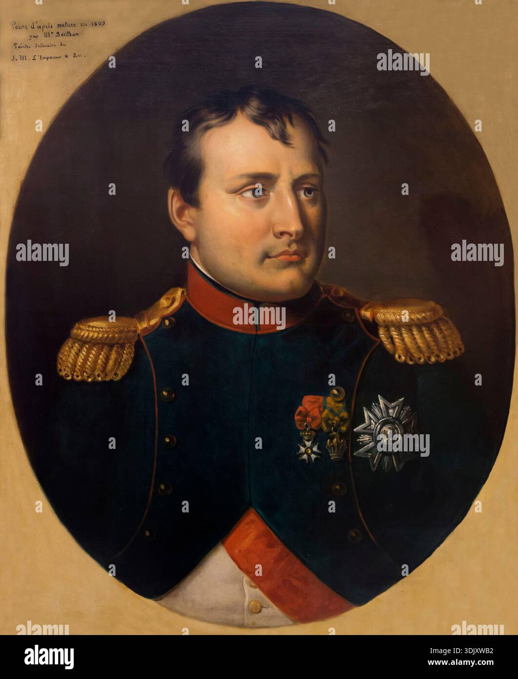 Napoleon I, Portrait, Rene Theodore Berthon, 1809 Stock Photo - Alamy