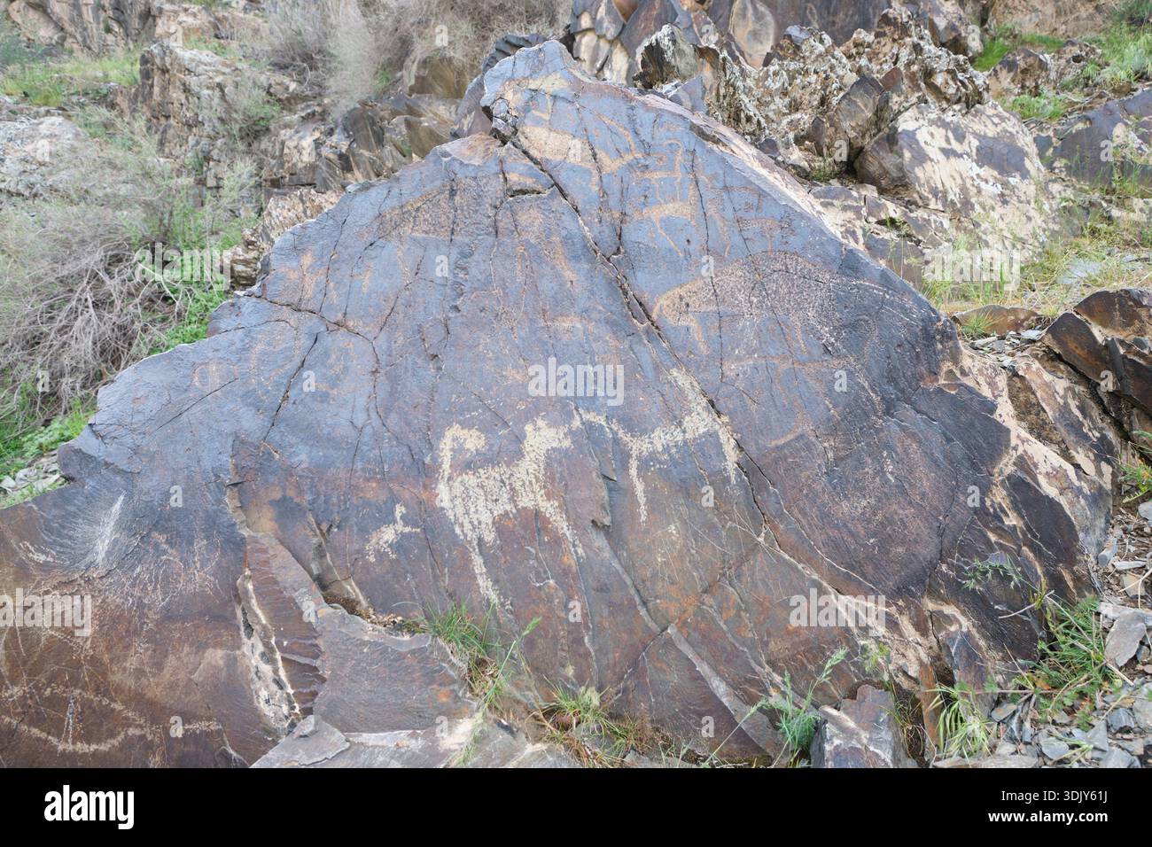 In Navoi Region, Uzbekistan Stock Photo - Alamy