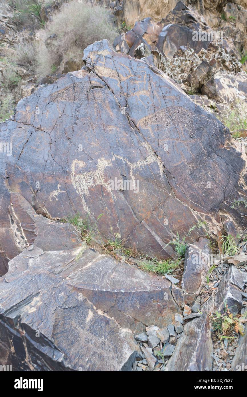 In Navoi Region, Uzbekistan Stock Photo - Alamy