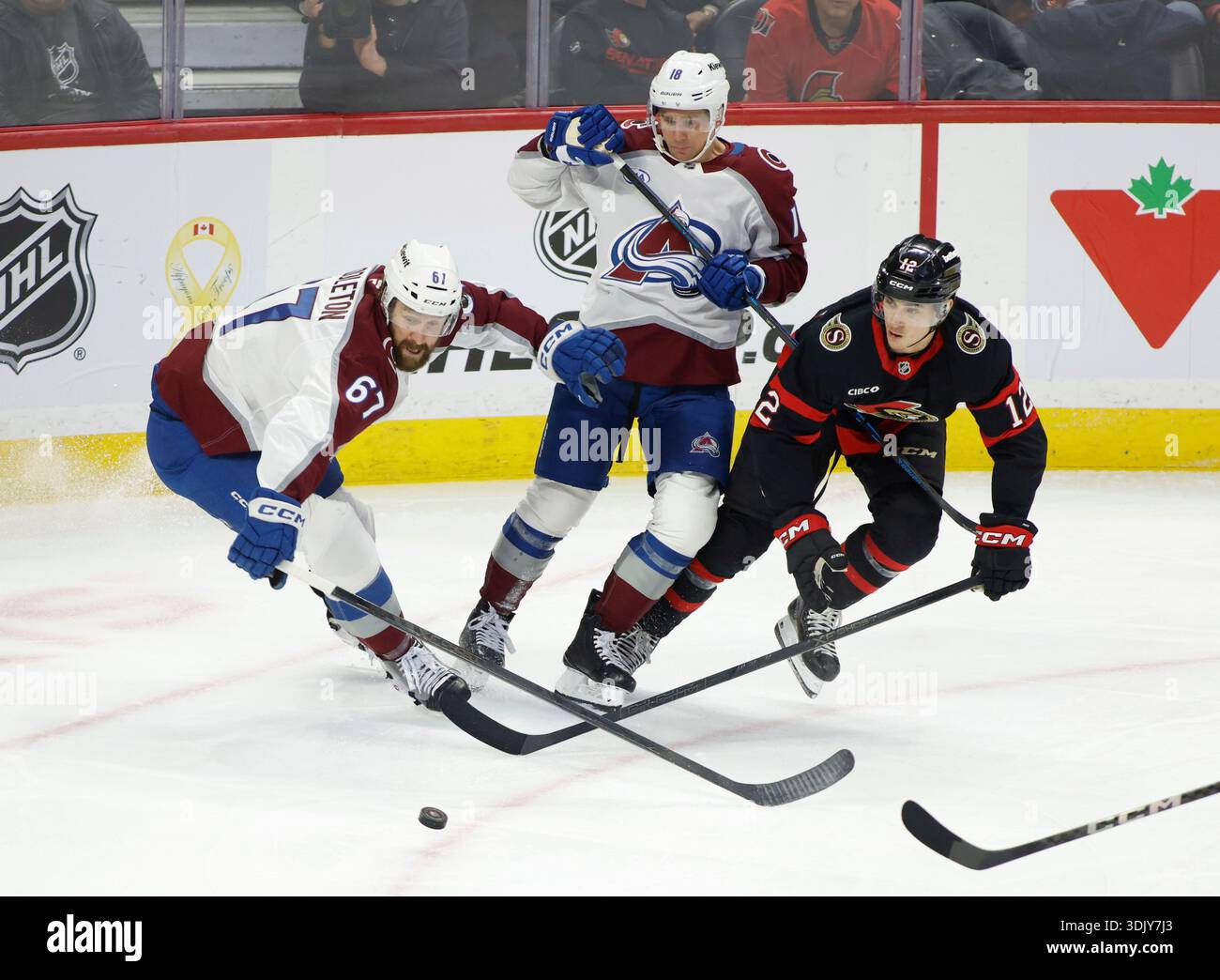 Colorado Avalanche's' Keaton Middleton (67) and Jack Drury (18), battle ...