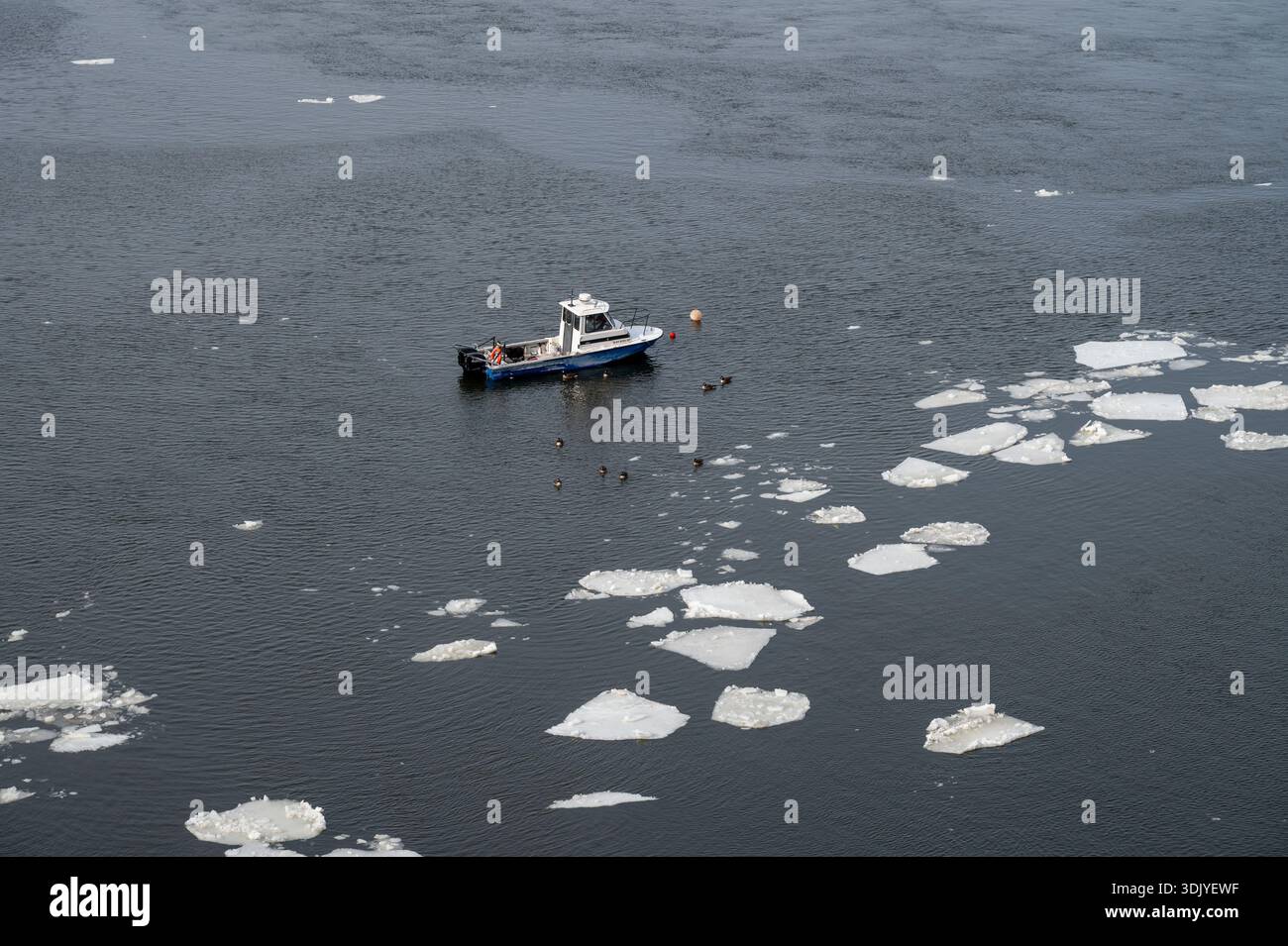Jan 2026 weather hi-res stock photography and images - Alamy