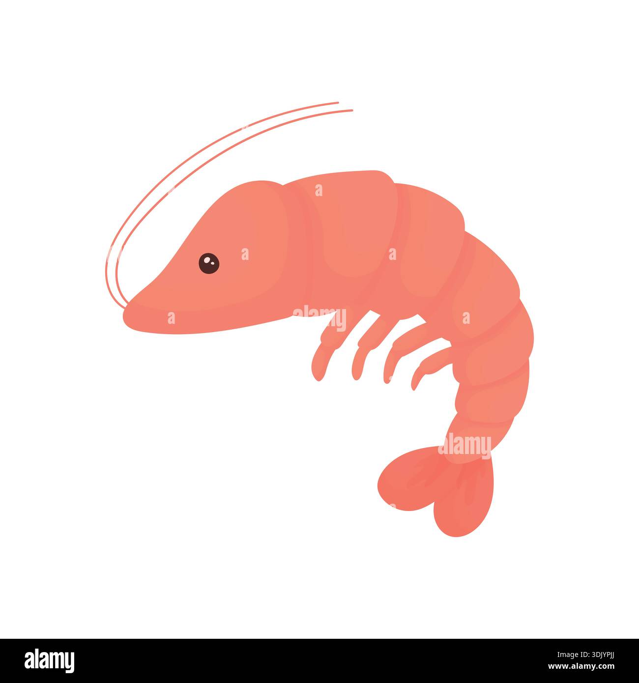 Cute shrimp. Sea animals. Fresh seafood Stock Vector Image & Art - Alamy