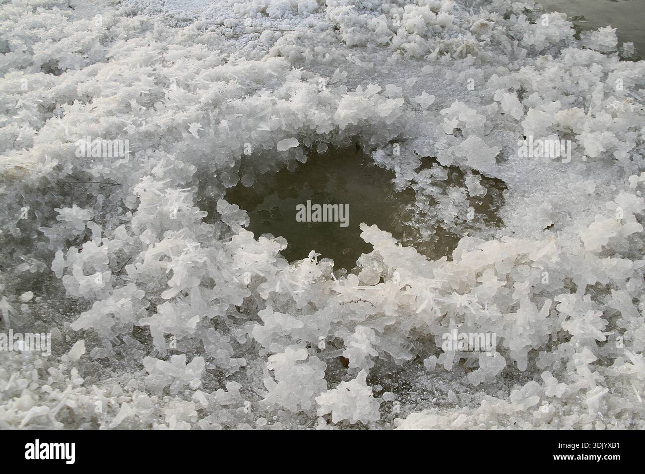 The salt crystals form on salt lake as the temperature drops in ...