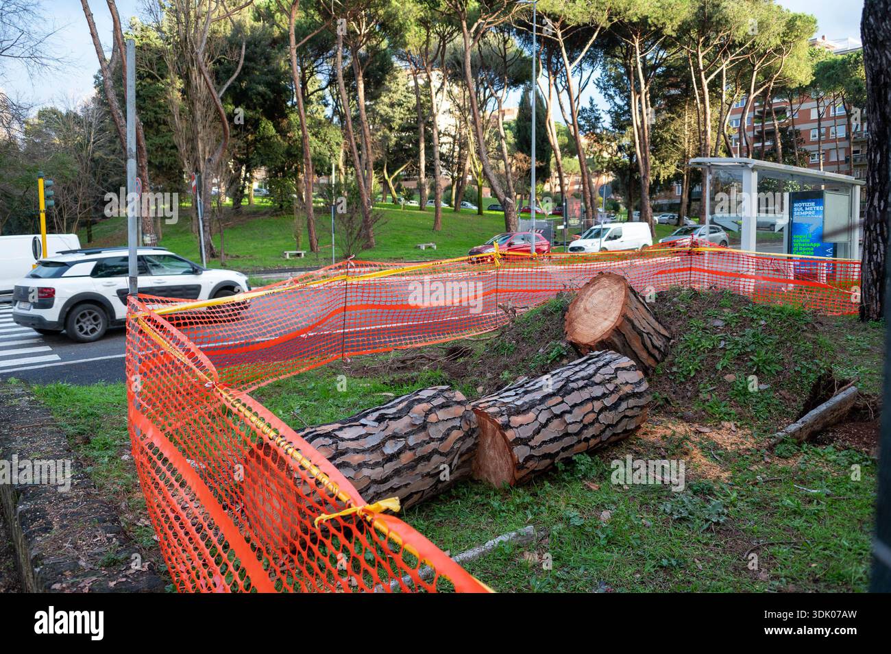 Jan 2026 weather hi-res stock photography and images - Alamy