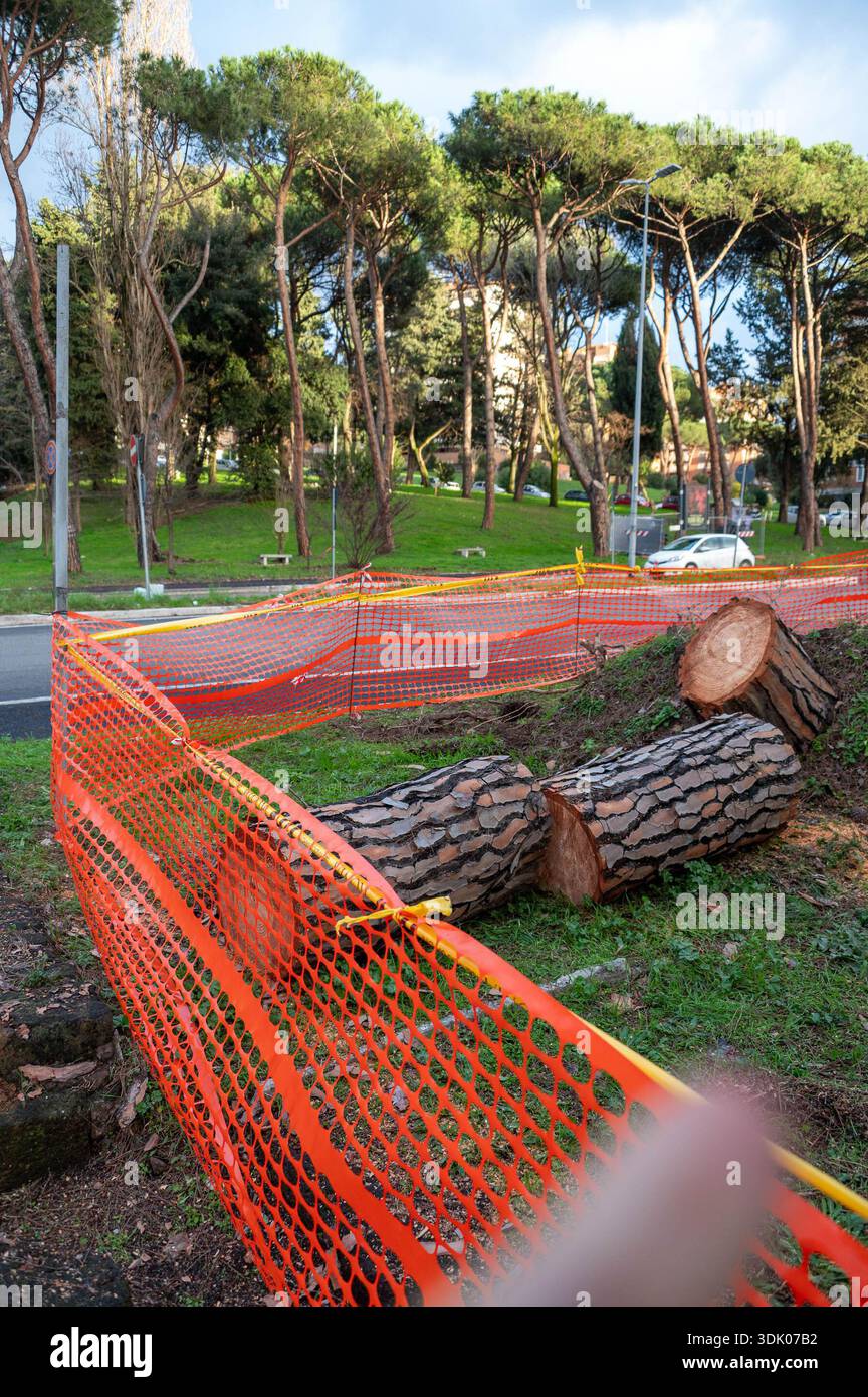 Jan 2026 weather hi-res stock photography and images - Alamy