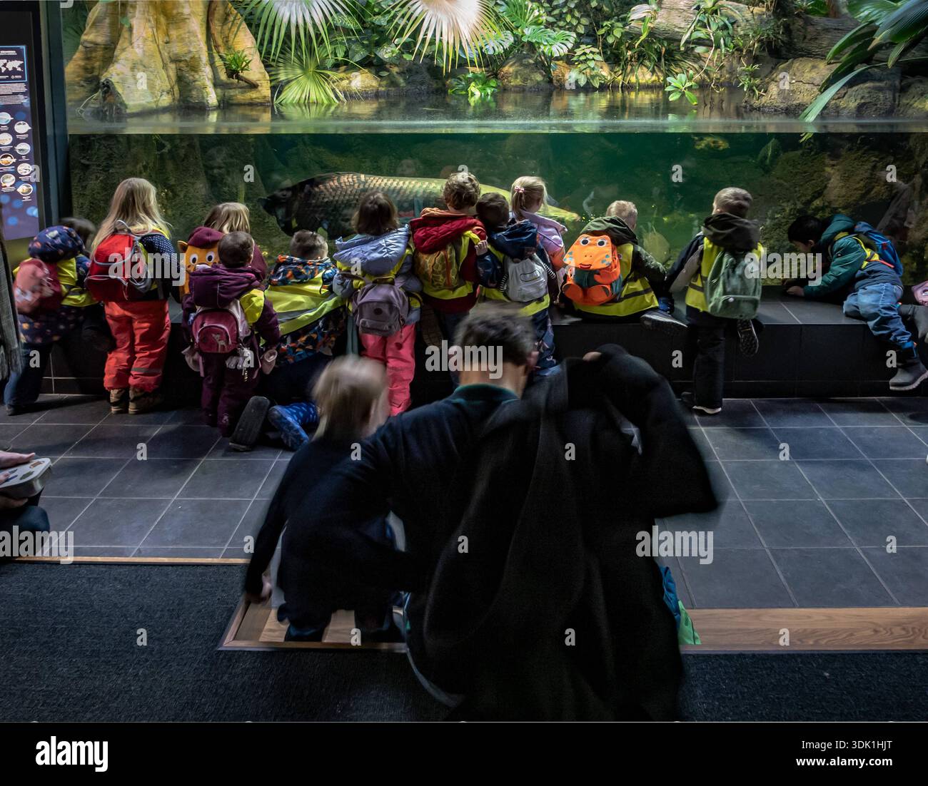 Berlin Charlottenburg-Wilmersdorf Zoologischer Garten / Zoo, im ...