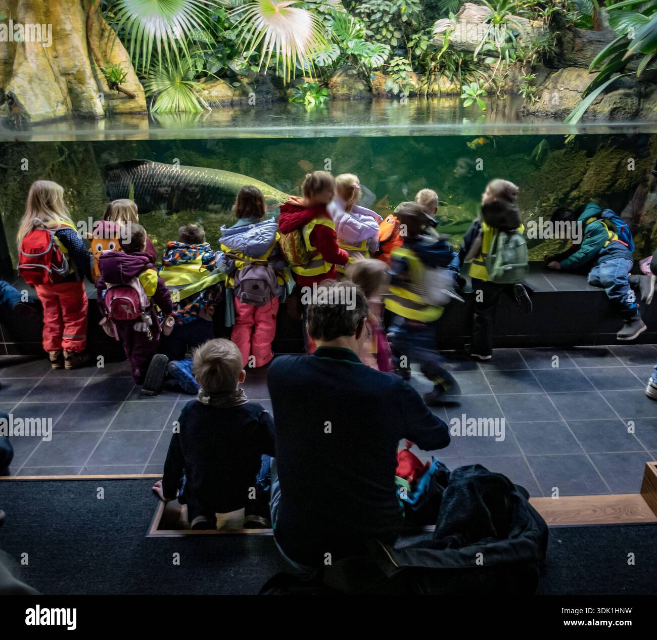 Berlin Charlottenburg-Wilmersdorf Zoologischer Garten / Zoo, im ...