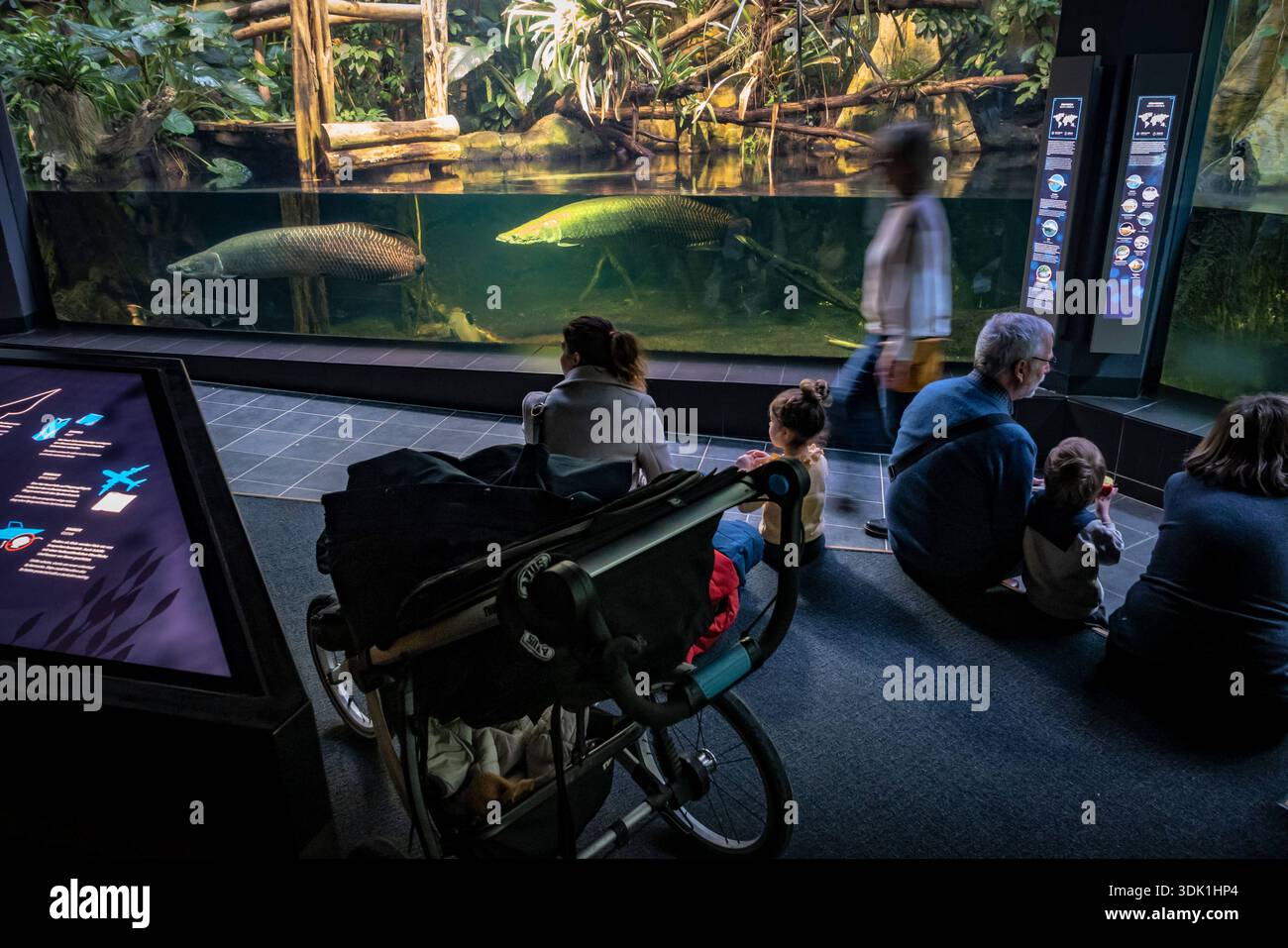 Berlin Charlottenburg-Wilmersdorf Zoologischer Garten / Zoo, im ...