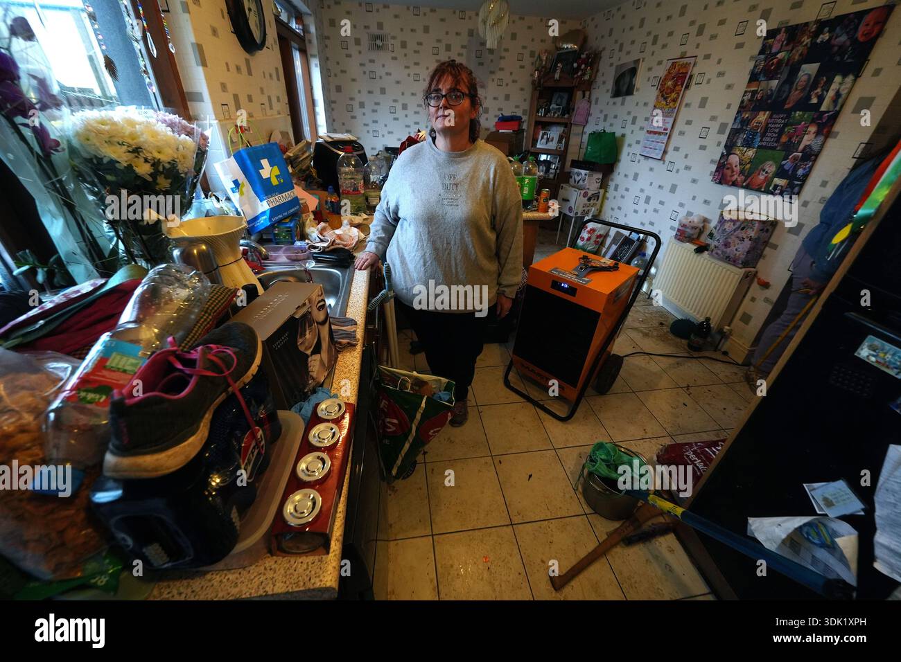 Elaine Byrne at her flood damaged home in Riverfield in Aughrim, County ...