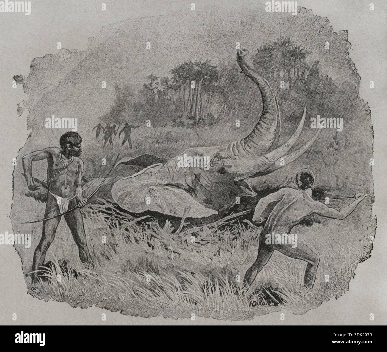 Africa. Ancient method used by natives to hunt elephants, armed with ...