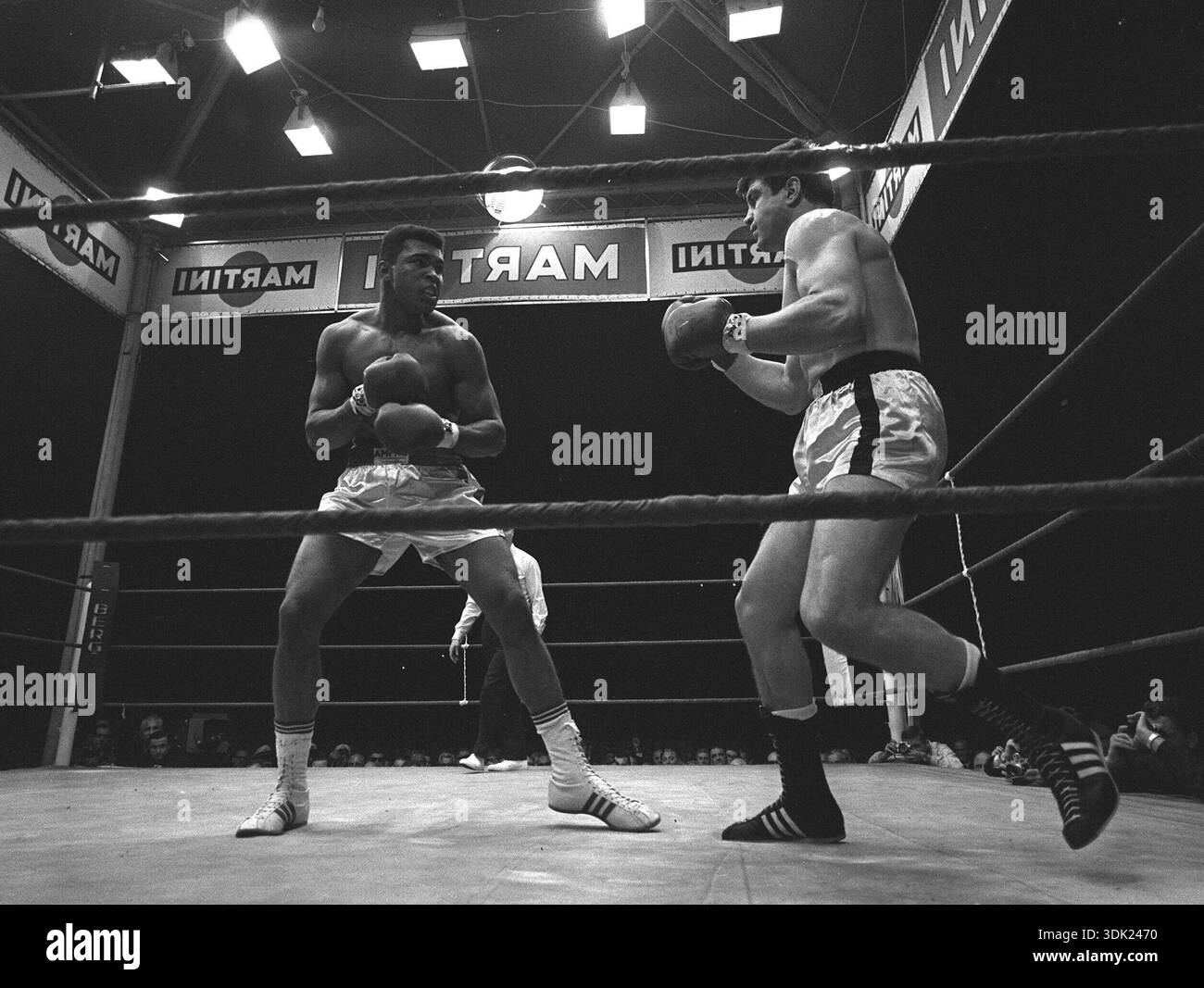 Muhammad Ali alias Cassius Clay (USA, left), boxing, heavyweight ...