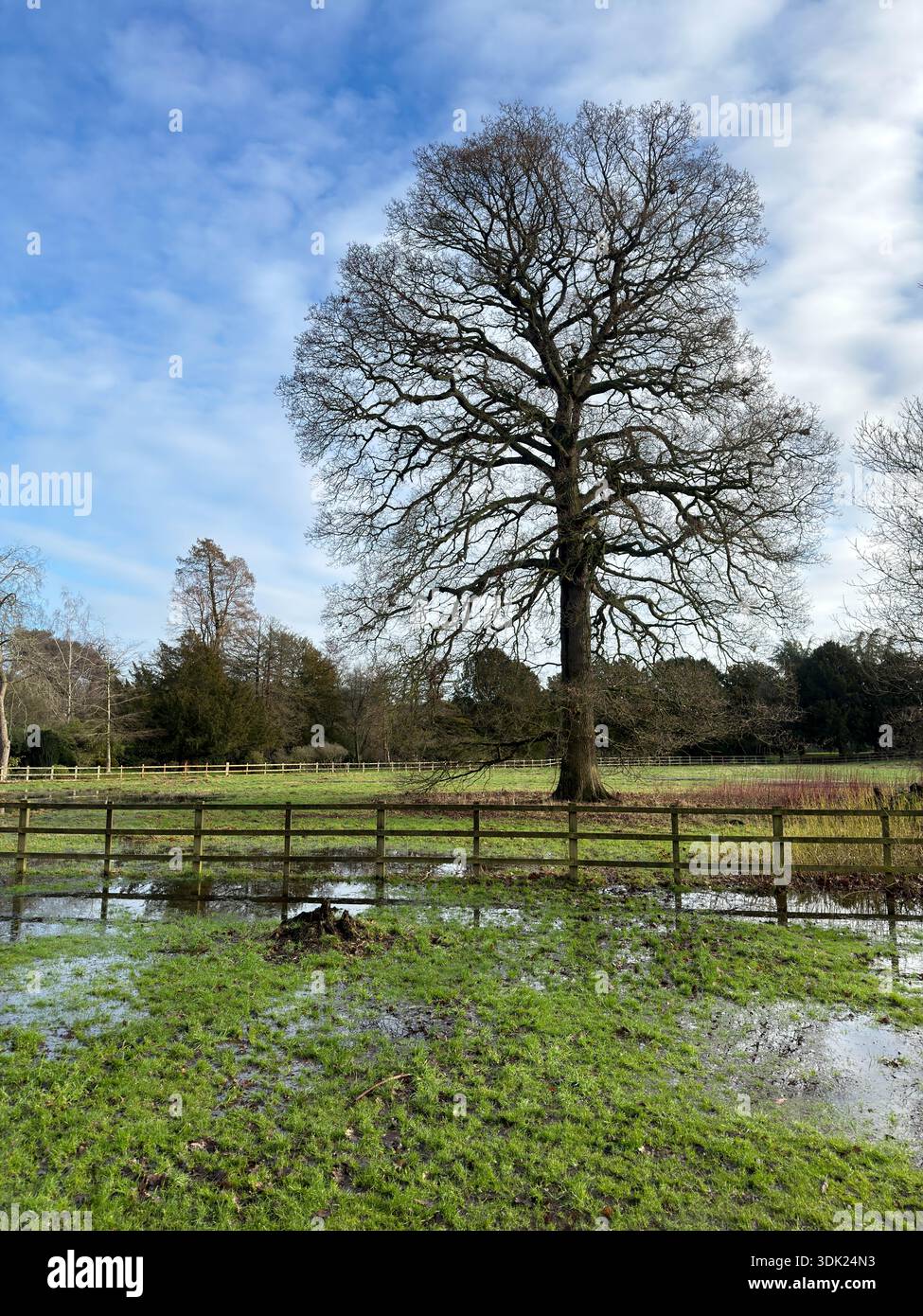Elvaston Castle Country Park including Tree Sculptures by Andrew Frost ...