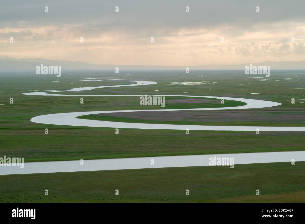 Ba yin guo leng meng gu zi zhi zhou hi-res stock photography and images ...