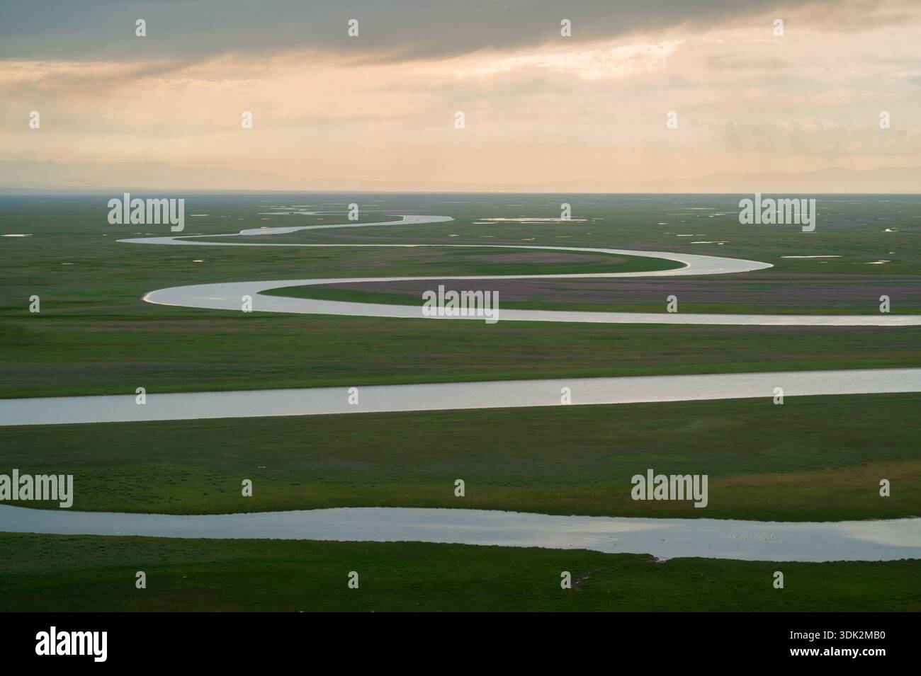 Ba yin guo leng meng gu zi zhi zhou hi-res stock photography and images ...