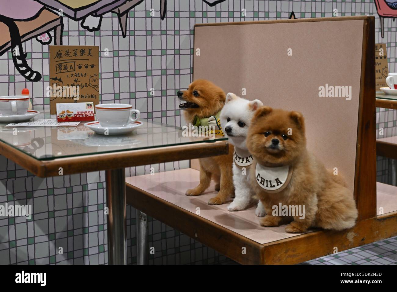 Three dogs posing photo at the Cha Chaan Teng exhibit of Hong Kong Pet ...