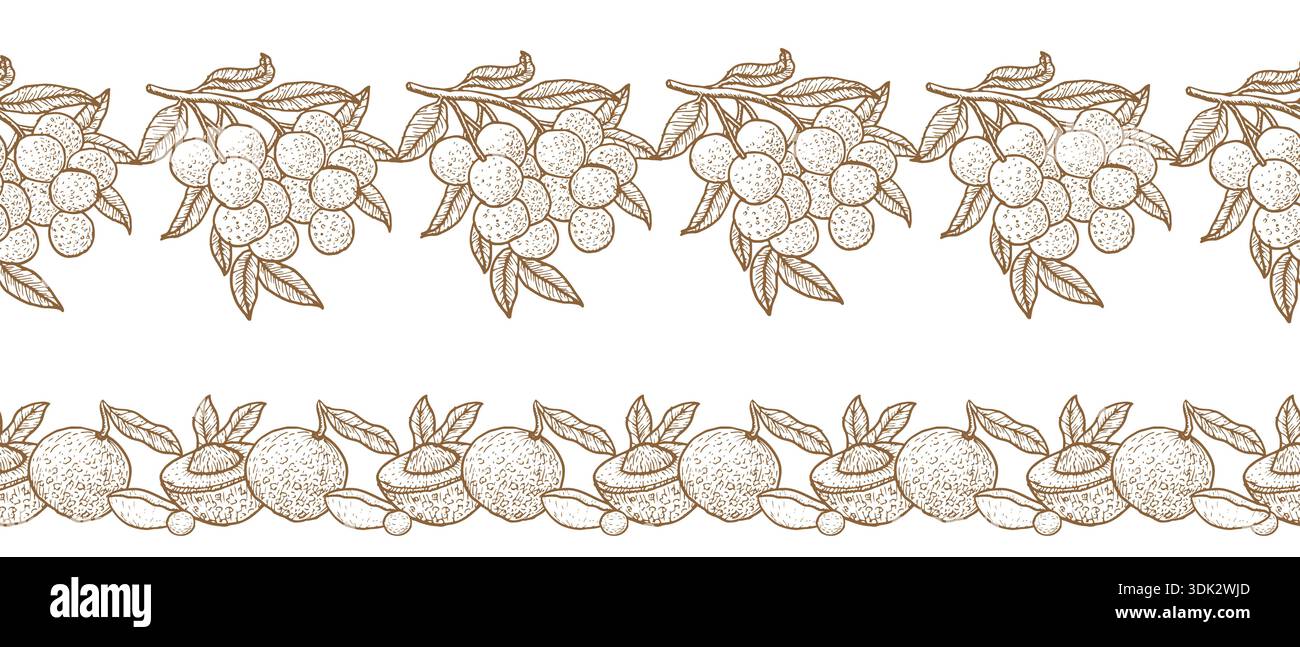 Longan fruit seamless border template for food packaging, textile ...