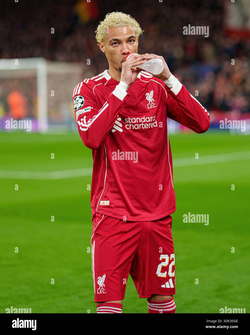 Hugo Ekitike of Liverpool during the UEFA Champions League match ...