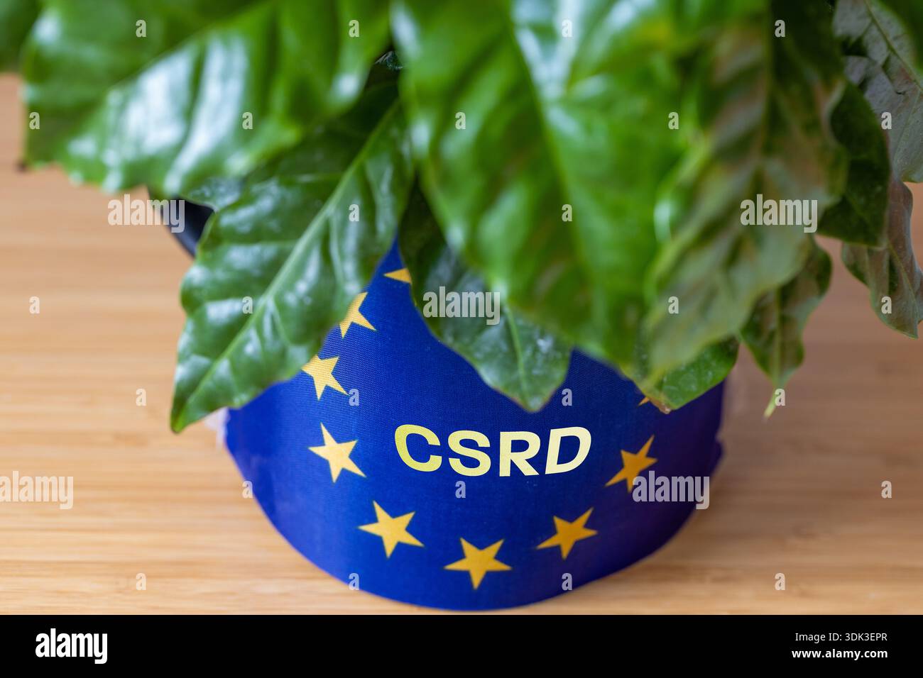 CSRD Icon. Corporate Sustainability Reporting Directive. A European ...