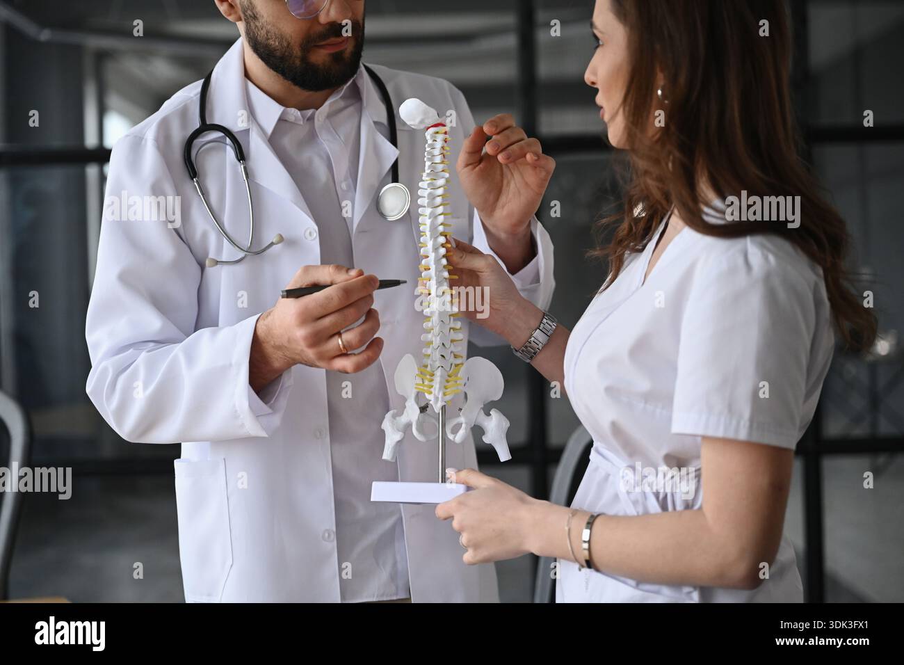 Holding model of human spine. Two doctors are in the office Stock Photo ...