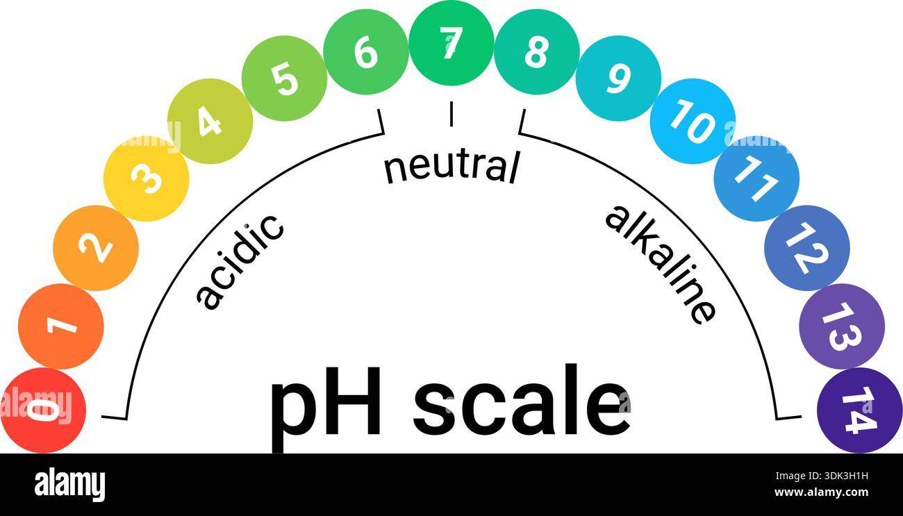 Ph scale for alkaline and acid balance. Water with a neutral indicator ...