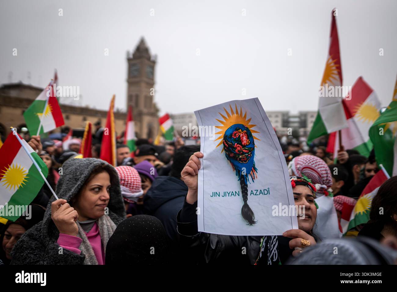 A woman holds a placard with a string of braided hair during a ...
