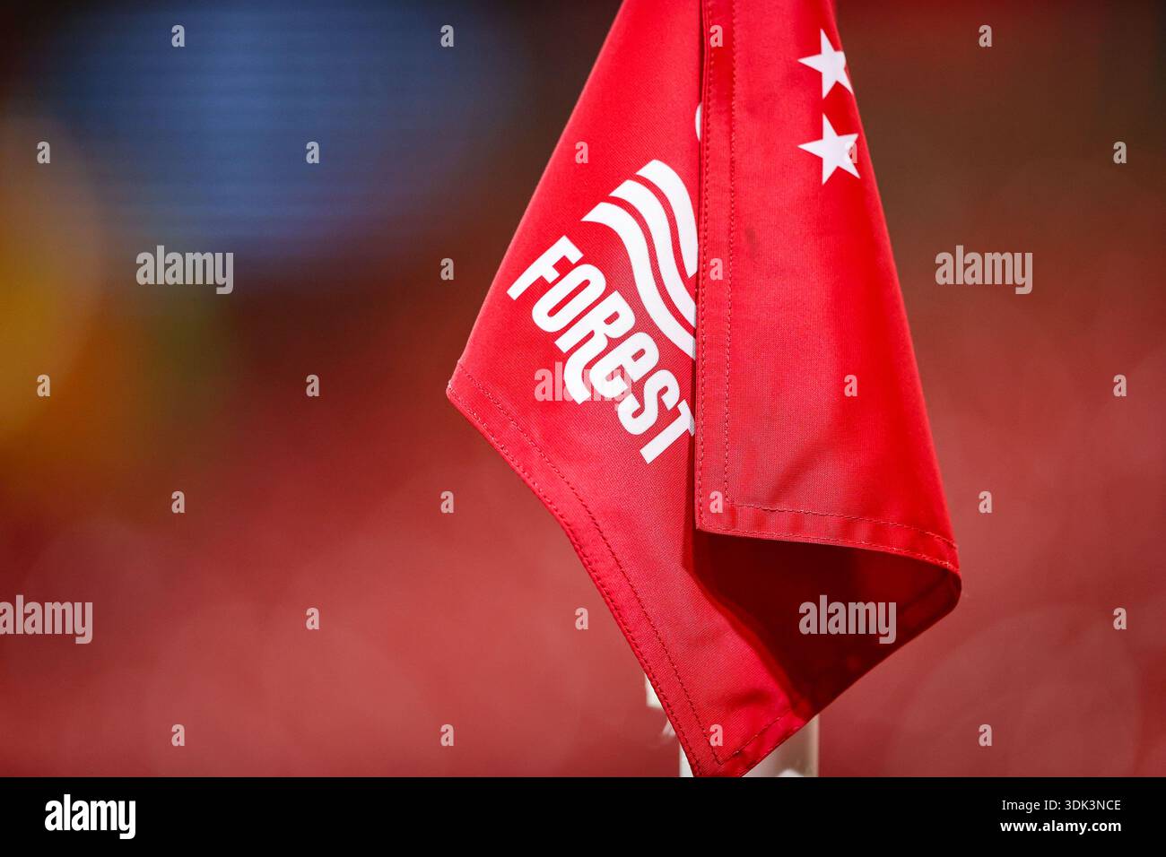 A general view showing the corner flag during the UEFA Europa League ...