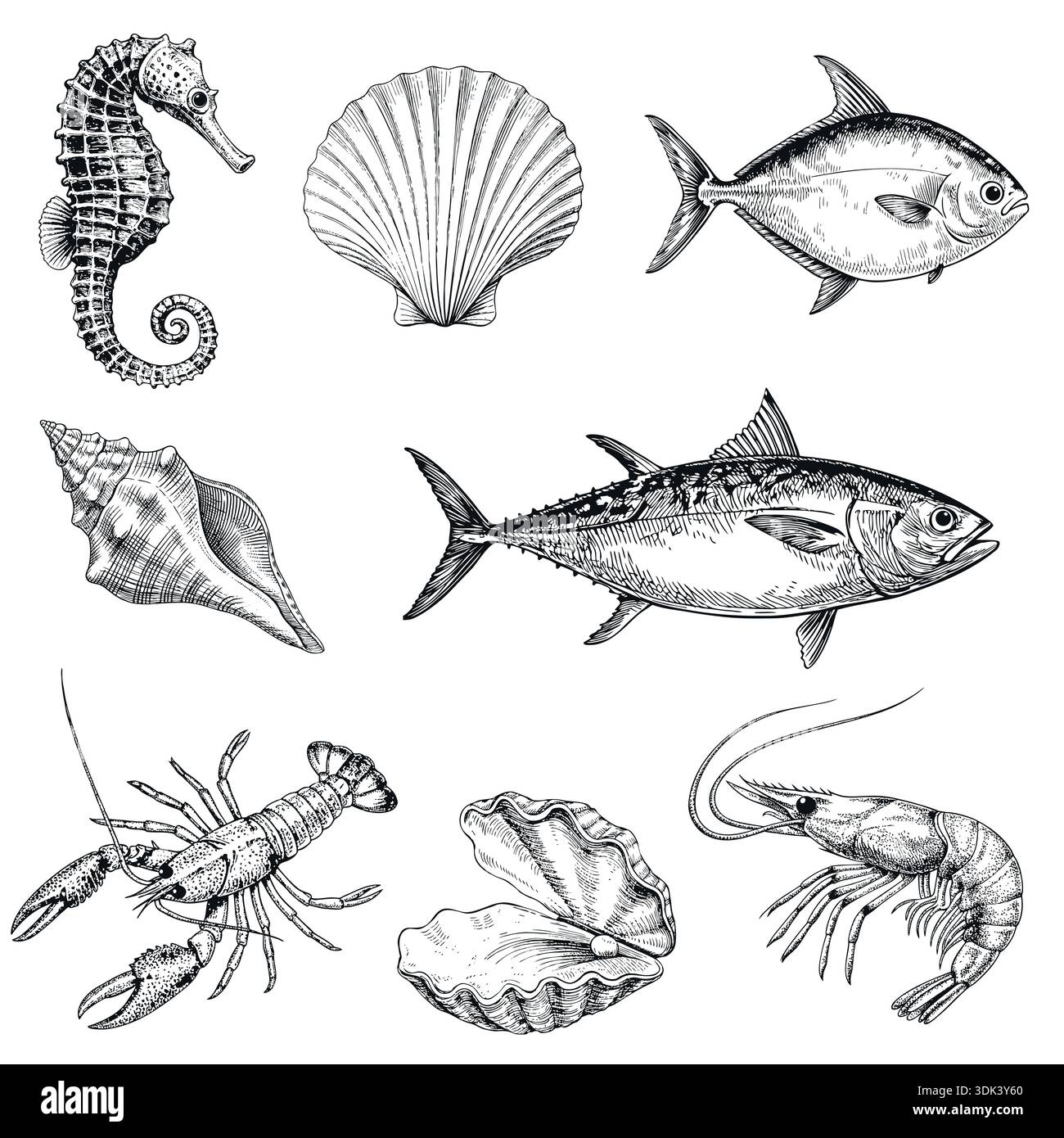 Vintage hand-drawn sea animals and seafood collection including fish ...