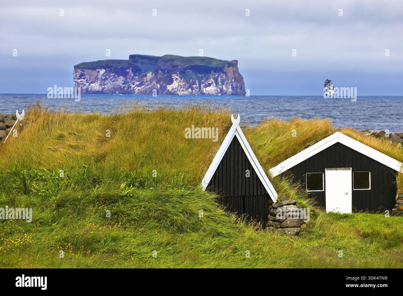 Traditional wooden huts with turf roofs, Iceland, Skagafjoerdur ...
