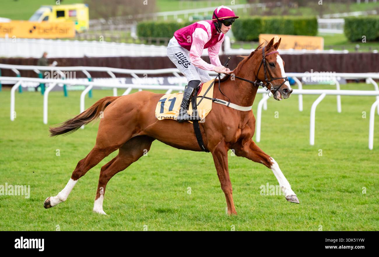 Jane williams trainer hi-res stock photography and images - Alamy