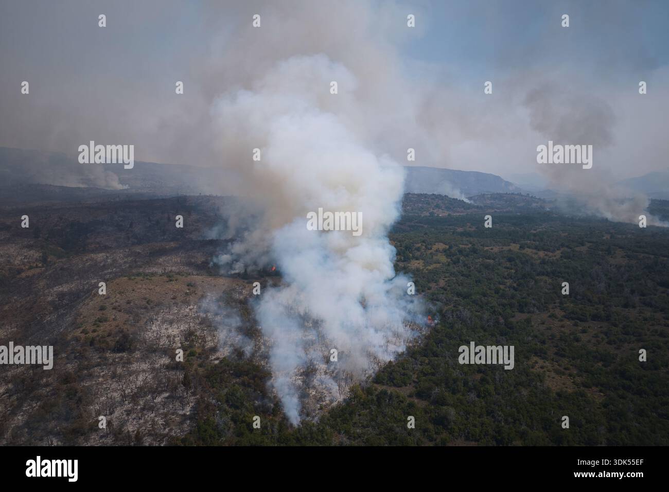 Wildfires burn forested areas near Cholila, Argentina, Thursday, Jan ...