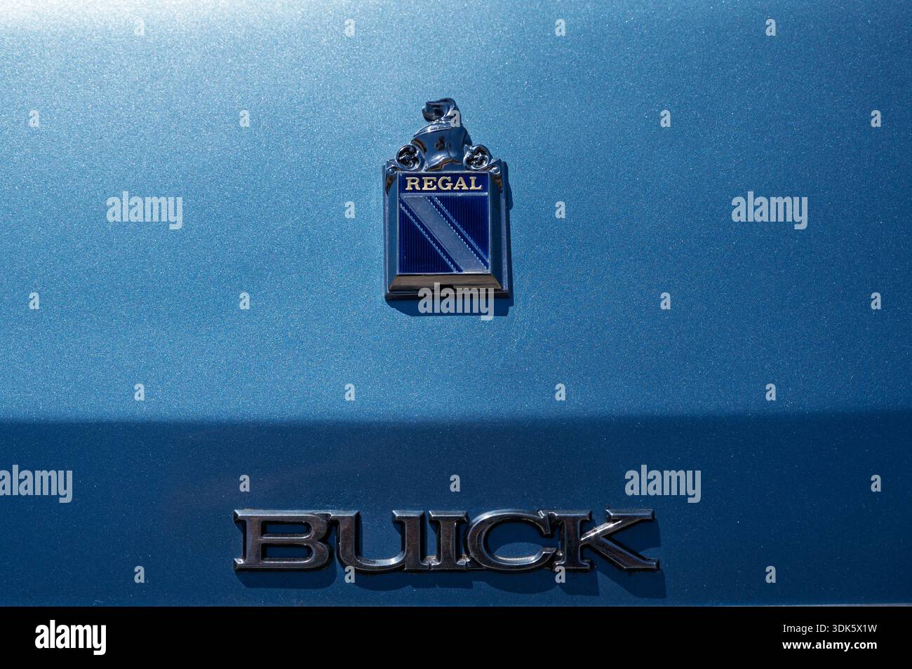 A close-up shot of the emblem and logo on a classic 1973-1977 first ...