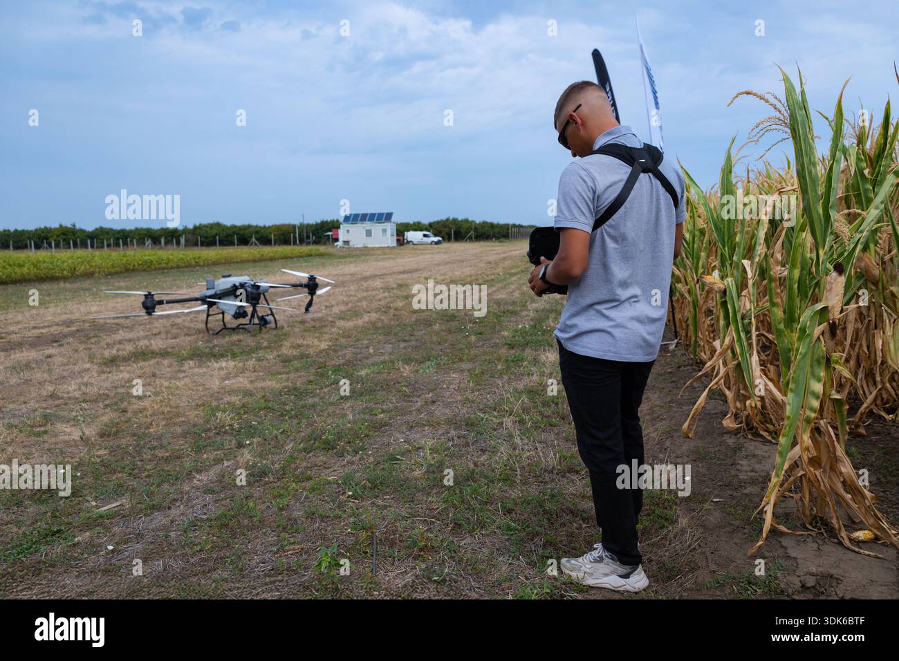 Drone Pilot Checks Camera Drone in a Cornfield for Agricultural Aerial ...