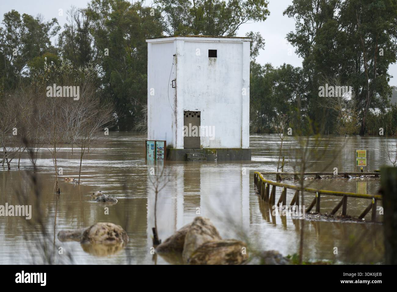 Images of the Guadalete river as it passes through the Corta district ...