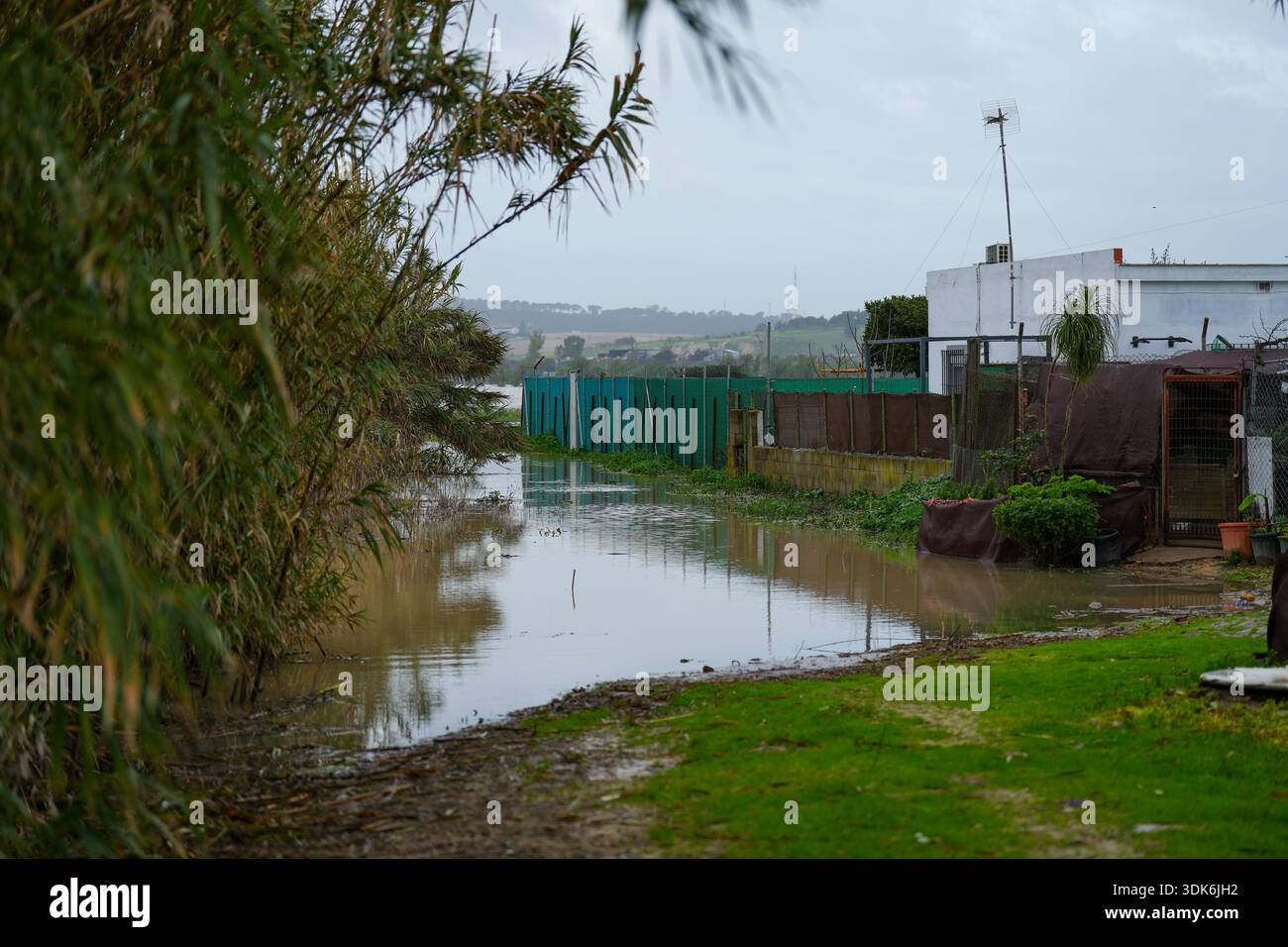 Images of the Guadalete river as it passes through the Corta district ...