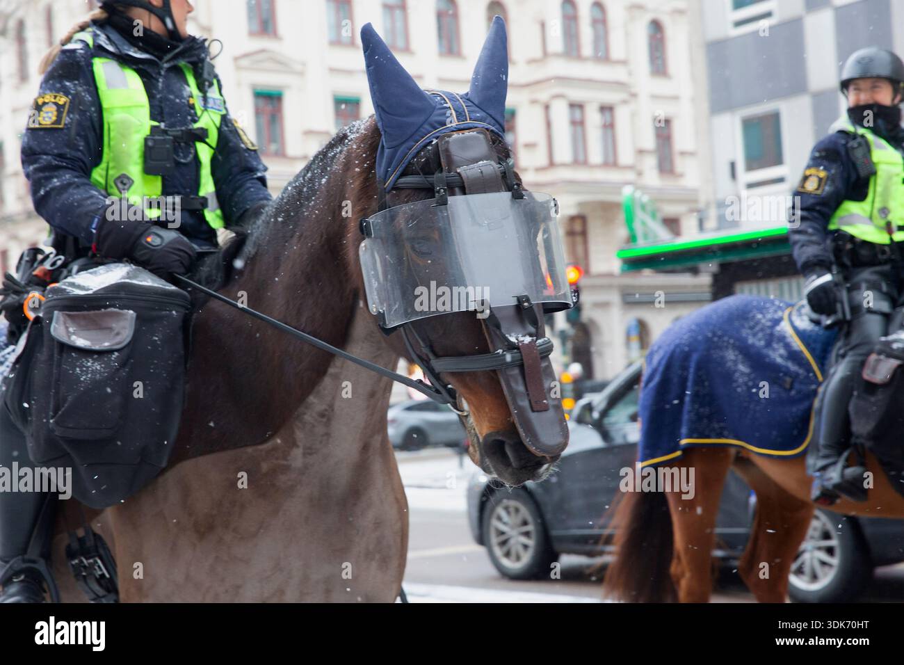 Mounted police horse wearing a protective face visor during a winter ...