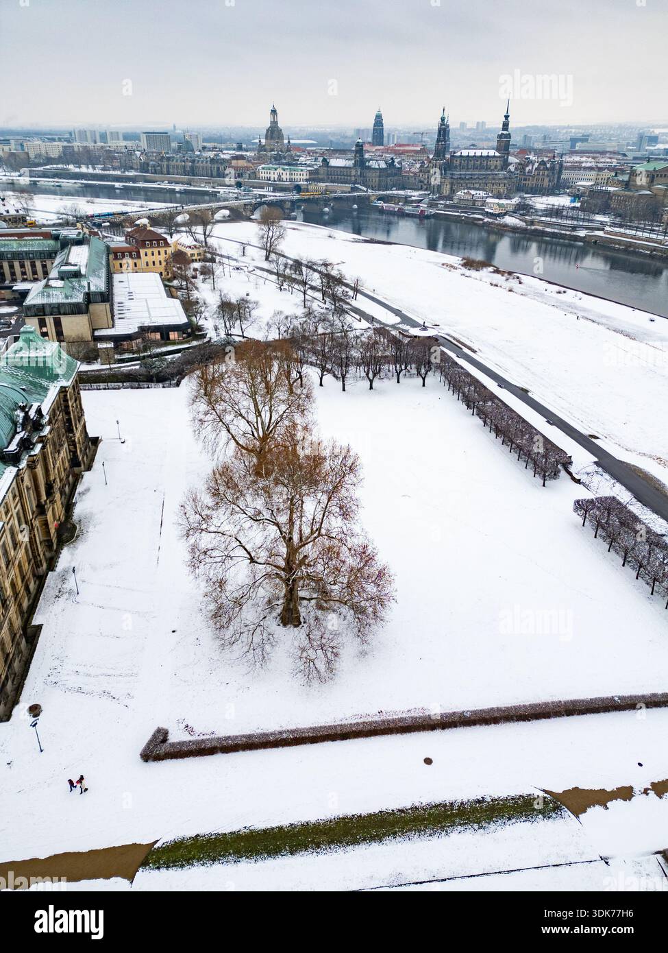 30 January 2026, Saxony, Dresden: The meadows at the Japanese Palace ...
