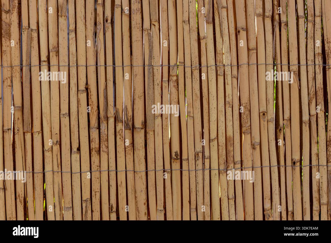 A detailed, vertical close-up of a natural bamboo pole fence screen ...