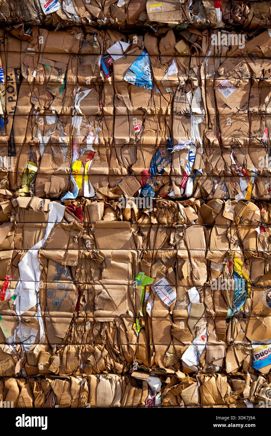 Compacted compressed cardboard for recycling, a central collection ...