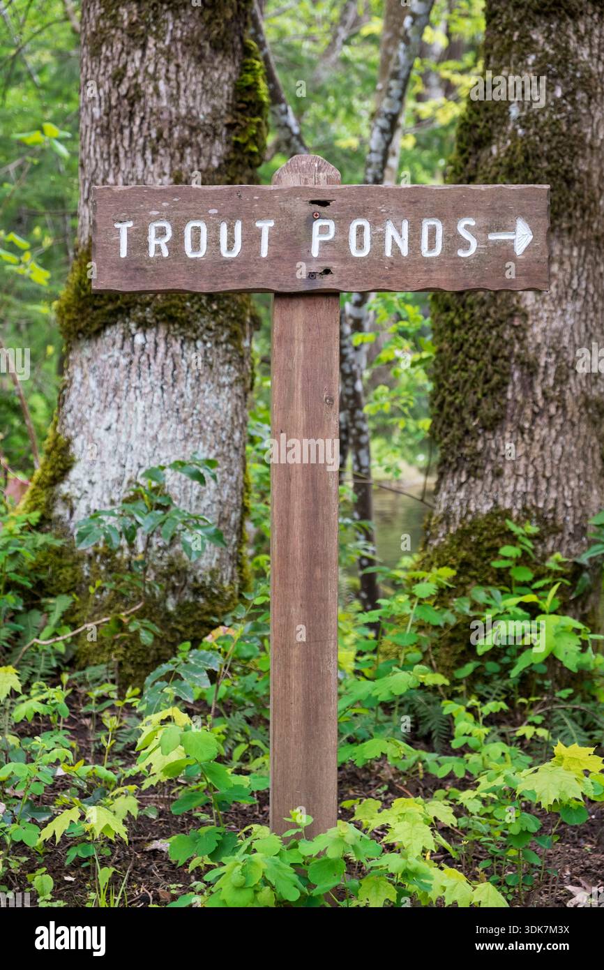 Wooden sign points toward the trout ponds at Bonneville Dam Fish ...