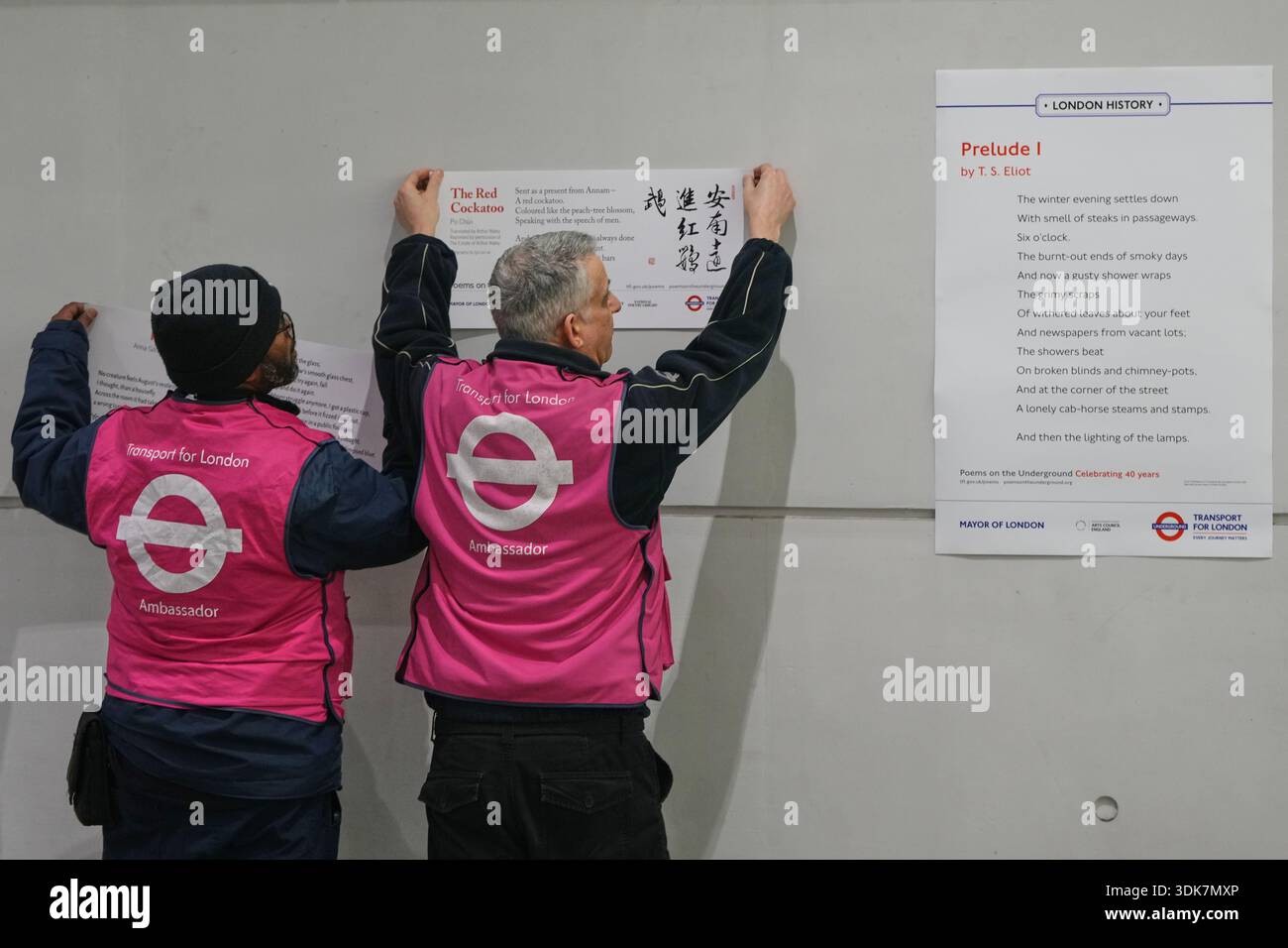 TFL ambassadors display poems for a gathering to celebrate 40 years of ...
