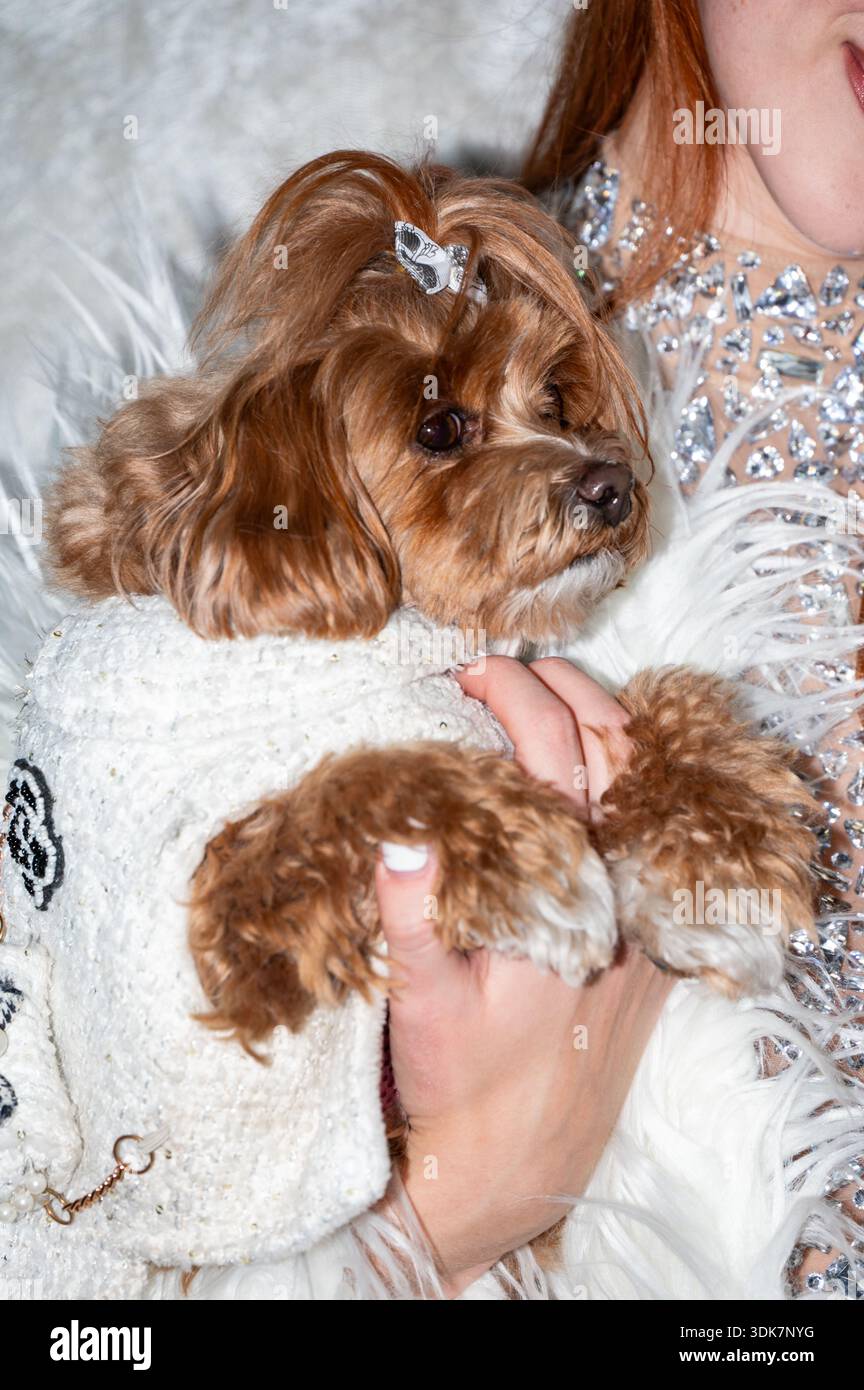 Chloe Jane with her dog CJ, attends the Warner Music Group Grammy ...