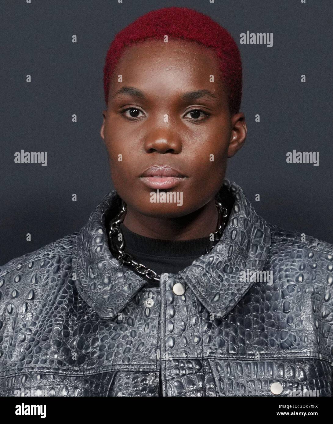 Arlo Parks at the 2026 Spotify Best New Artist Event held at The Lot at ...