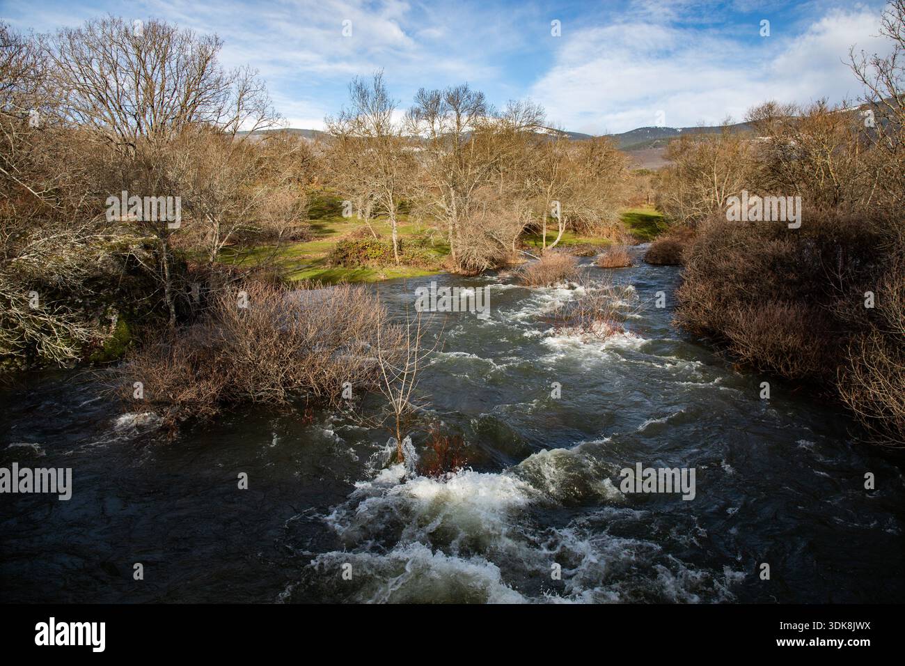 Lozoya River next to the Pinilla reservoir, on 30 January 2026, in ...