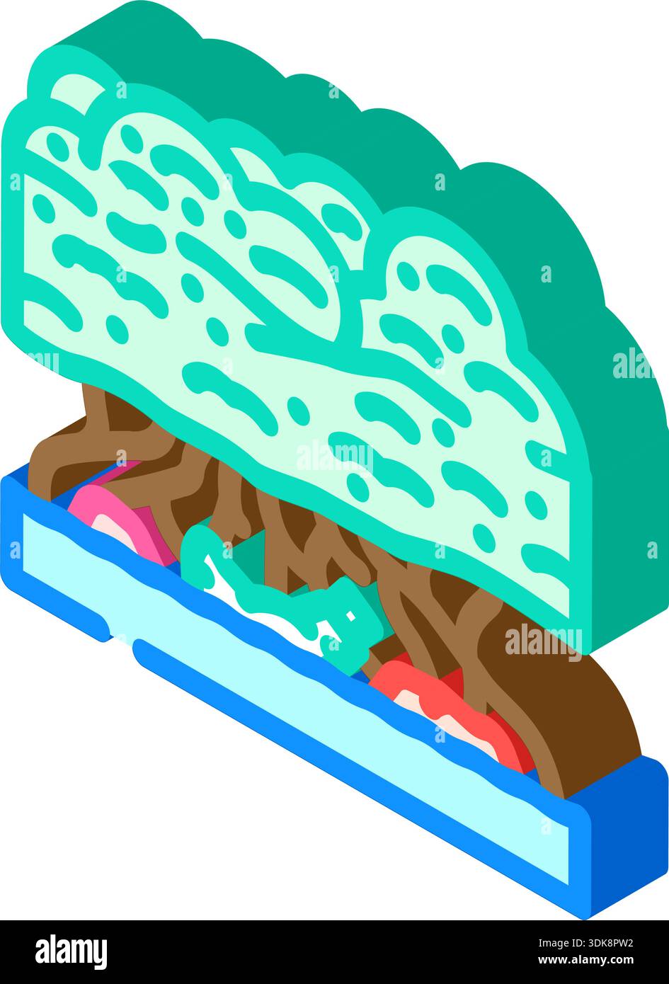 Mangrove marsh ecosystem isometric illustration Stock Vector Image ...