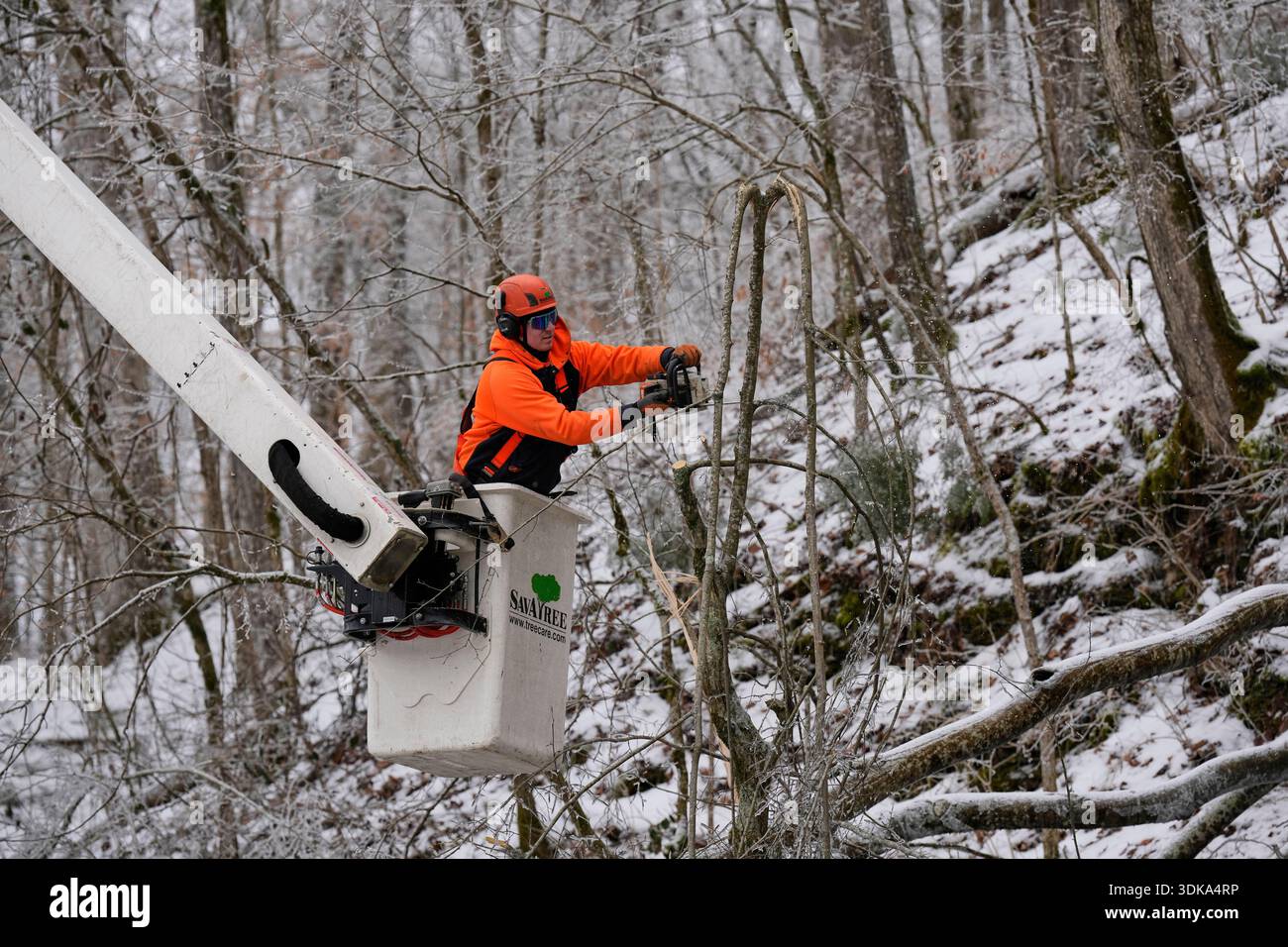 Austin Bradbury uses a chainsaw to remove a tree above a road Friday ...
