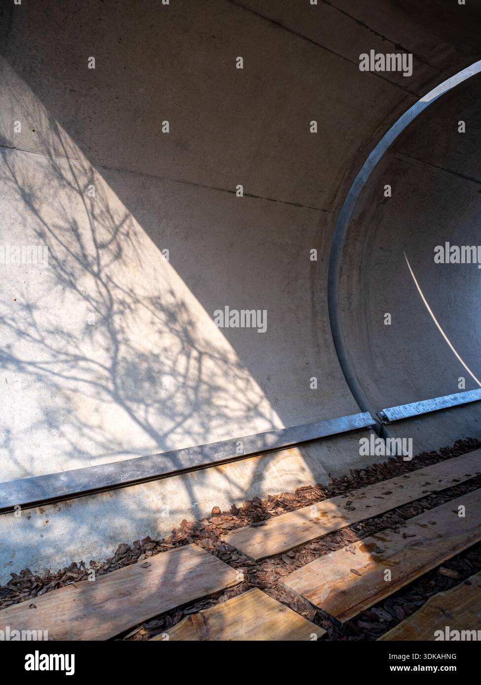 Artistic silhouette shadow of tree branches cast on the interior ...